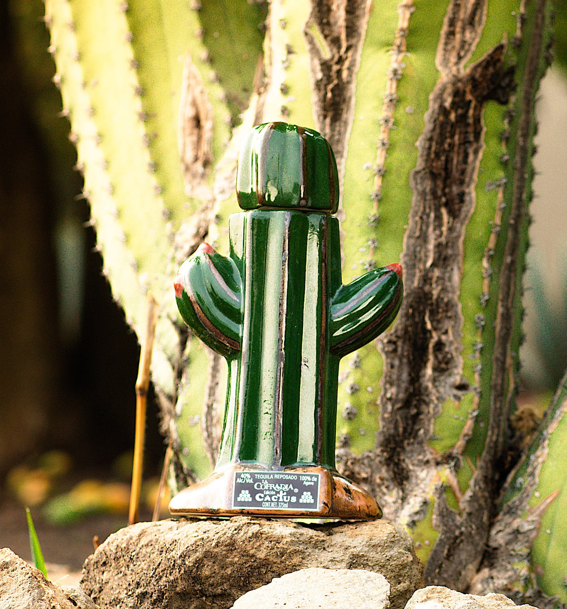 Cactus Reposado 375ml – TIENDA TEQUILA COFRADIA